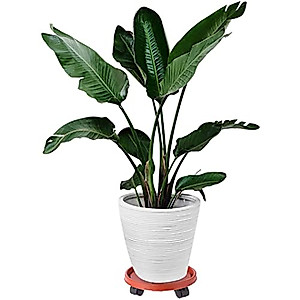 AIJUZIJIE Plant Pallet Caddy Flower Pot Stand Rolling Tray Round with Universal Wheels Style4 Flower Pot Tray