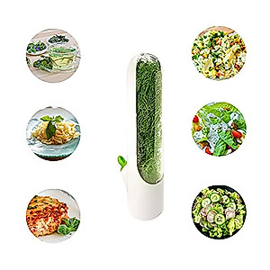Caliber Cooks, Herb Saver Fresh Keeper Pods Produce Keeper Cilantro Containers for Refrigerator Storage Container for WellPacked Herb Holder Preserve Longer Well Sealing Lid , 9.8x6.6x25.1cm