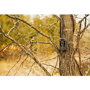 Stealth Cam Deceptor NO GLO 80ft Detection & IR Range 40MP Photo 1440P HD Video Capture Remote App Contol Wireless Hunting Cellular Trail Camera - Available on AT&T & Verizon