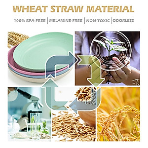 PTNITWO Lightweight Wheat Straw Plates,Plastic Plates Reusable,Unbreakable Deep Dinner Plates, Assorted Colors Dinnerware Sets,Dishwasher Safe