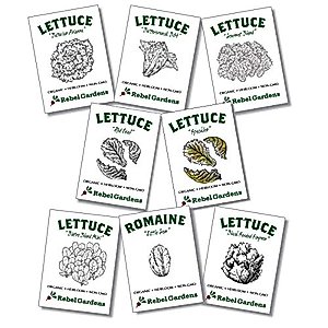 Organic Lettuce Seeds for Planting - 8 Leafy Greens Heirloom Non GMO Home Garden Vegetable Varieties