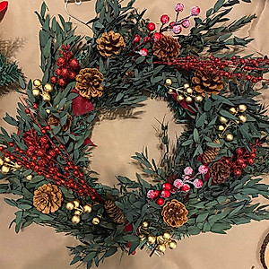 Wire Wreath Frame, ZEONHAK 20 Pack 10 Inches Round Metal Wreath Frame, Wire Wreath Rings for Wedding, Holidays, Home Party Garden Decorations, Valentines, Dark Green