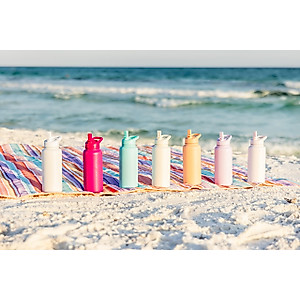 Sip+Sea St. Kitts 32 oz Stainless Steel Water Bottle with Straw Lid|Double Wall Vacuum Insulated