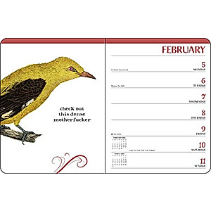 Effin' Birds 12-Month 2024 Monthly/Weekly Planner Calendar