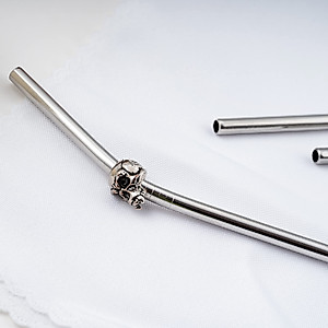 Stainless Steel Straws - 8 Pcs Skull Decor Halloween Reusable Drinking Straws + 2 Pcs Straw Squeegee for Suitable cup depth 6 Inch (Silver Canine Teeth)