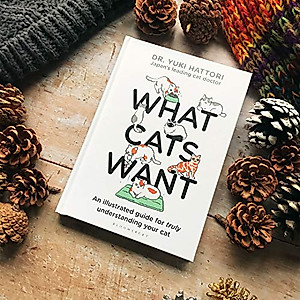 What Cats Want: An illustrated guide for truly understanding your cat