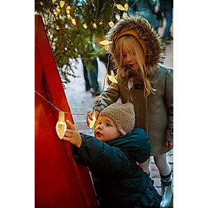 Anycosy Christmas Lights, 19.7 Ft 60 LEDs Strawberry Battery Operated Strings Lights 8 Modes On/Off Timer for Xmas Tree Indoor Outdoor Christmas Decorations