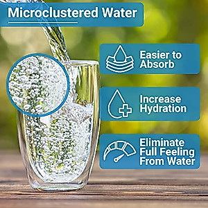 Aqua Ionizer Deluxe 5.0 | Water Ionizer | 7 Water Settings | Home Alkaline Water Filtration System | Produces pH 4.5-10.5 Alkaline Water | Up to -600mV ORP | 4000 Liters Per Filter