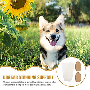 Ipetboom Dog Ear Posting Kit, Dog Ear Stand Sticker Up Support Tool Dog Ear Fixed Correction Vertical Holder for Corgi Small Doberman 1 Pair