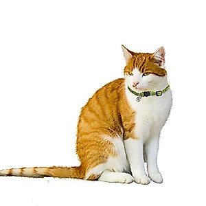 XIMA 12PCS Cat Collars with Bell,Pet Collar, Breakaway Cat Collar,Sequin Collars for Small Dogs,Camouflage Pattern for Cat and Dog (Sequin Designs-12pcs)