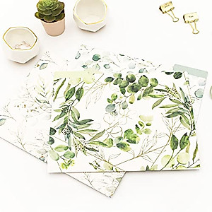 bloom daily planners Decorative File Folders - Set of Six Letter Size (8.5” x 11”) Organizers, 1/3 Cut Tabs - Assorted Designs - Eucalyptus