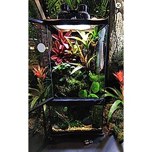 Zoo Med Paludarium Habitat Kit - 12" x 12" x 24"