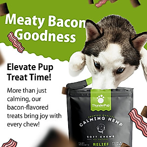 ThunderPup Premium Hemp Chews | Natural Calming Hemp Treats for Thunderstorms, Fireworks, Separation, & Traveling | Hip and Joint, Immune, & Overall Health Support, Chamomile & Valerian Root.