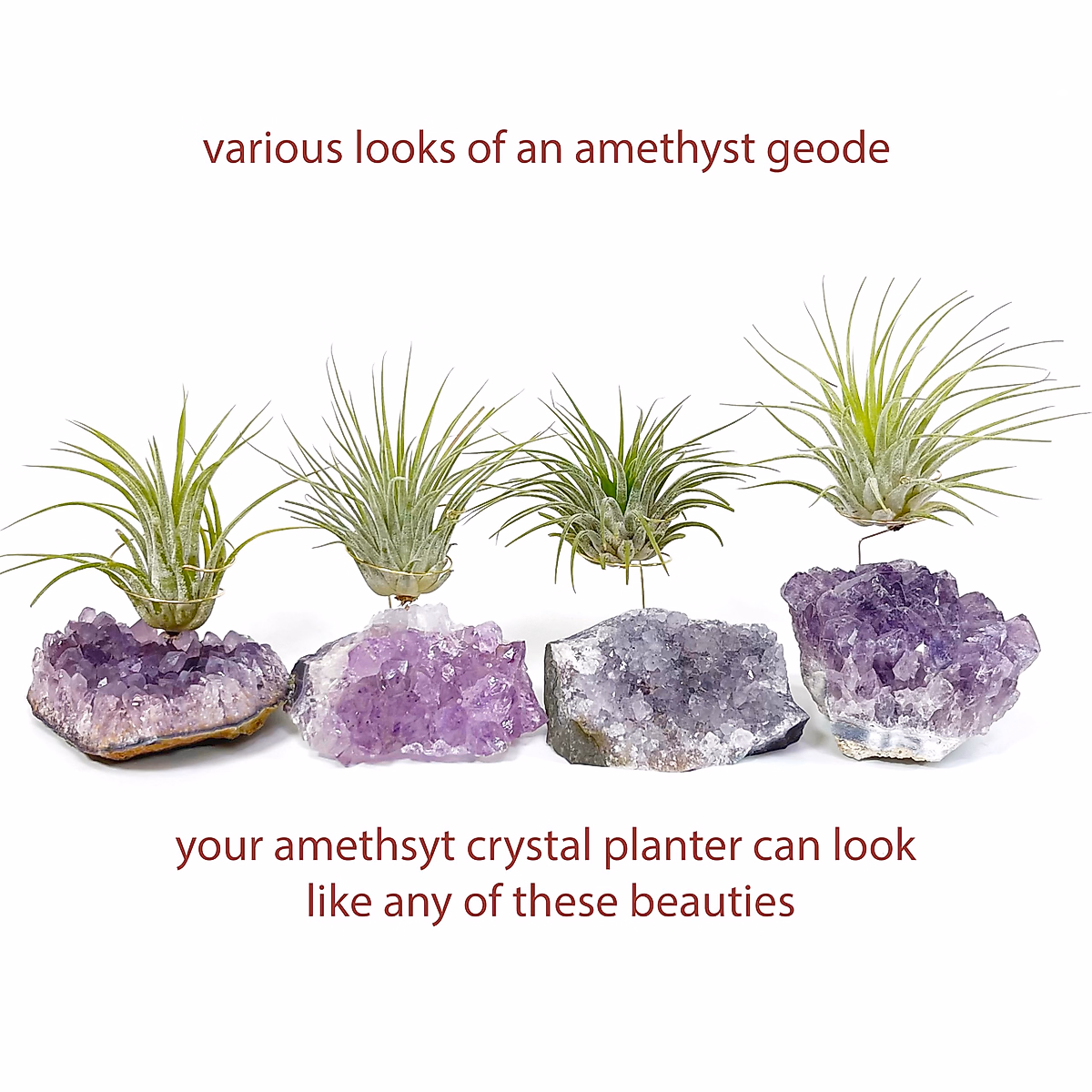 Set of 3 Small Amethyst Crystal Air Plant Holder Includes live Air Plant and Happy Birthday to You Gift Box