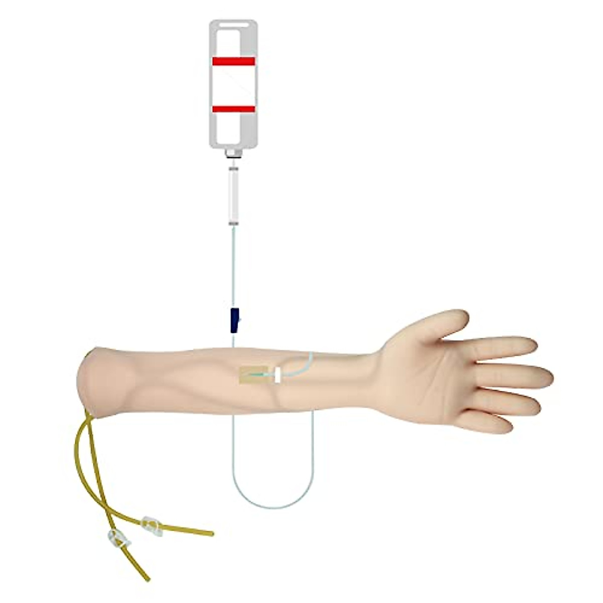 IV Practice Arm - Anatomy Lab IV Training Kit,Phlebotomy and Venipuncture Practice Arm,Model for Training and Perfecting IV/Phlebotomy/Venipuncture Procedures and Techniques
