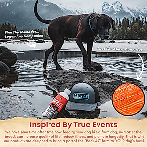 BACK 40 Dogs Wild Alaskan Fish Oil for Dogs, Skin and Coat Supplement for Dogs & Cats, Omega-3-Rich Salmon and Pollock Oil, EPA & DHA Dog Salmon Oil for Brain, Heart, and Joints 16 fl oz (473 ml)