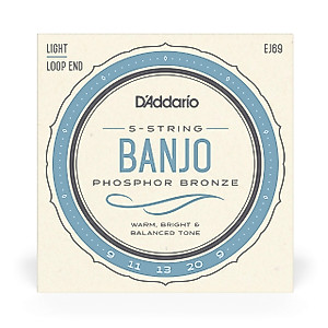 D'Addario EJ69 Phosphor Bronze 5-String Banjo Strings, Light, 9-20