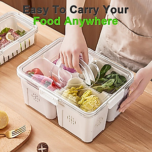 Airtight Fruit Storage Containers for Fridge: 4 Compartment Large Food Storage Container with Lids & Handle & Removable Drain Tray - Berry Fruit Vegetable Fresh Produce Saver for Travel Picnic
