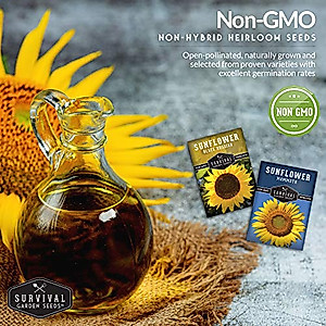 Survival Garden Seeds Edible Sunflower Seed Vault - Gigantic Flowers with Delicious Seeds - Mammoth Sunflower and Oil-Rich Black Russian Sunflower - Non-GMO Heirloom Seeds for Planting & Growing