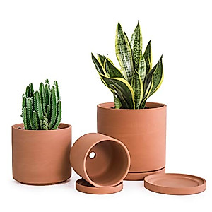 D'vine Dev Terracotta Pots for Plants, 4.2 Inch 5.3 Inch 6.5 Inch, Succulent Planter Pot with Drainage and Saucer, 40-A-T-1