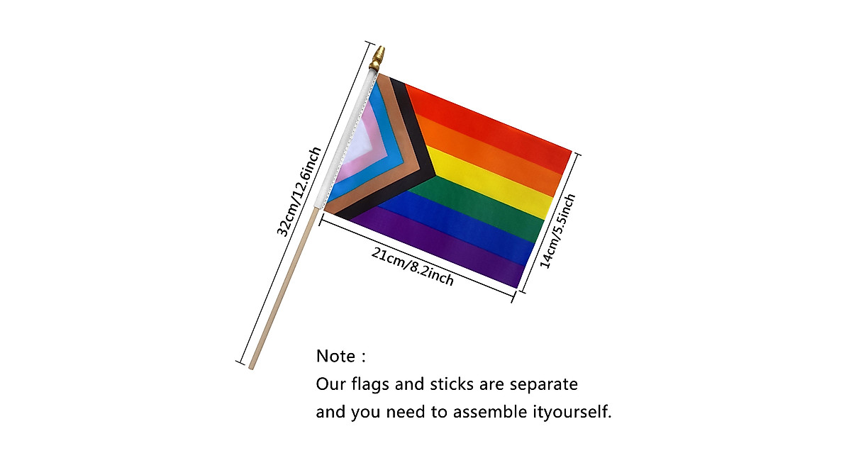 TSMD Progress Rainbow Pride Flags - 12 Pack Mini Flags
