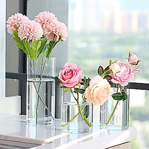 STARSIDE 20 oz Glass Food Storage Containers with Bamboo Lid,Set of 9 Glass Pantry Storage Containers,Kitchen Glass Jars with Airtight Bamboo Lids,Borosilicate Glass Canisters Sets