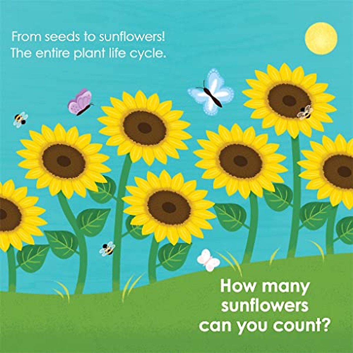 Montessori: Seed Work