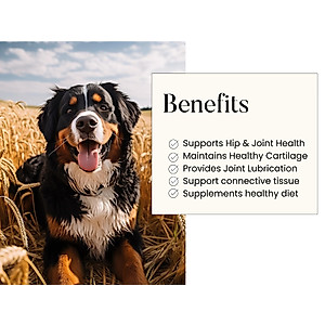 Woofy Maximum Strength Hip & Joint Health Supplement for Dogs - with Glucosamine, Chondroitin, and MSM, 90 Soft Chewable Tablets