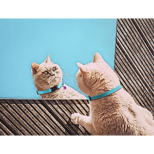Murom Breakaway Cat Collar Leather Soft Adjustable Pet Kitten Collars with Bell Pink Brown Blue Green Red (Green)