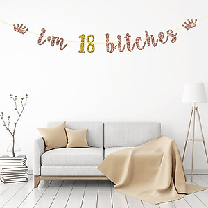 I'm 18 Bitches Banner, 18th Birthday Party Decor, Funny Eighteen Years Old Birthday Banner, Girl's 18th Birthday Party Decorations (Rose Gold)