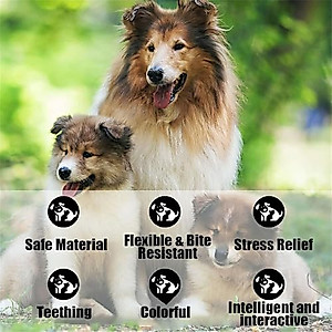 Wooden Dog Chews, Coffee Tree Dog Chews, Wooden Bones for Big Dogs, Wooden Chew Toys for Dogs - Dental Cleaning Stress Relief Toys (10.2in)