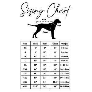 Drinking Buddy Shamrock Dog Tee Shirt Sizes for Puppies, Toys, and Large Breeds (Green XS)