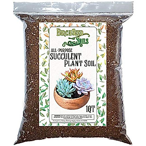 Succulent Plant Soil, Natural All-Purpose Cactus, Aloe Vera, and Succulent Potting Soil, 1 Quart Sized Bag, Premium Fast Draining Mix
