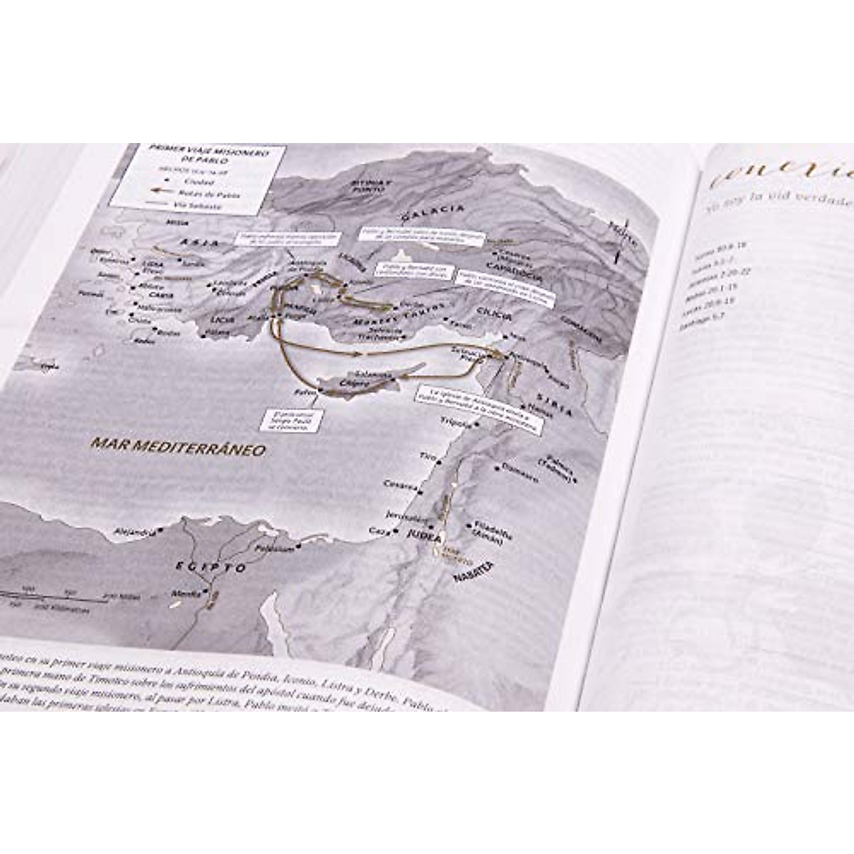 Biblia Reina Valera 1960 de Estudio para Mujeres, Tapa dura | RVR 1960 Women Study Bibl, Hardcover (Spanish Edition)