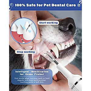 NATURE NERDS Plaque Remover for Teeth, Pet Tooth Brushing Kit, Dental Tools to Remove Plaque and Tartar, Safe for Dog and Cat, with LED Light, White