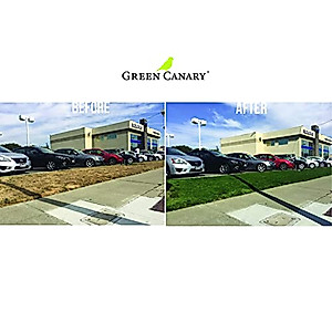 Green Canary Pre-Mixed Grass Colorant - 4 Liter Bottles (More Than 1 Gallon), High Purity, Environmentally Safe, Natural Looking Turf, Green Grass Paint, Ready to Apply Grass Colorant, Made in USA