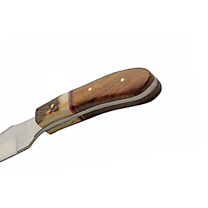 Full Tang Stainless Steel Blade Stag Wooden Handle 7.25 inch Edc Hunting Knife