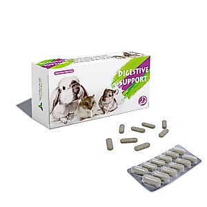 NUTRIARISE Digestive Support Grass-Based Supplement for Rabbit- High Fiber, Probiotics，Prevent GI Stasis, Promote Intestinal Motility and Minimize Intestinal Disease, 36 Tablets.