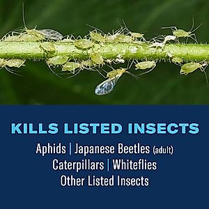 BioAdvanced Tree & Shrub Insect Killer, Ready-to-Spray, 32 oz