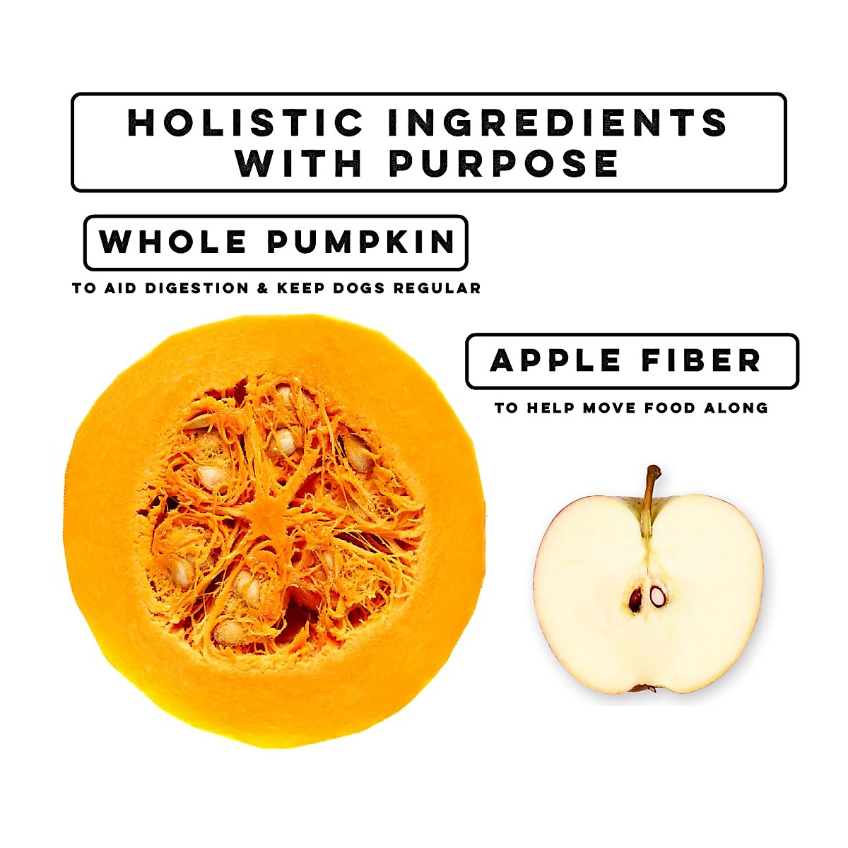 Nature's Diet Pet Dried Pumpkin Powder Digestive Support Natural Fiber for Firm Stool, Regularity (16 oz = 53 Servings)