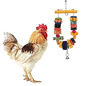 lanermoon Chicken Toys for Hens Colorful Natural Loofah Bird Chewing Toys Hanging Foraging Coop Cage Accessories Toys with Bells for Parrot,Parakeet