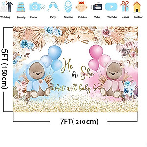 AIBIIN Boho Bear Gender Reveal Backdrop Boho Baby Shower Gender Reveal Party Decorations Banner He or She What Will Baby Be Photo Background Pink and Blue Pampas Grass Gender Reveal Banner Vinyl 7x5ft