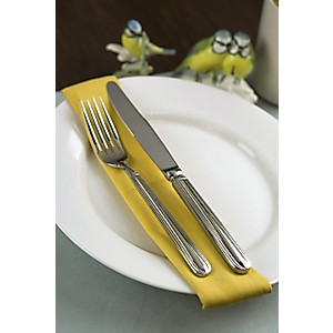 Fortessa Metropolitan 18/10 Stainless Steel Flatware Table Fork, Set of 12