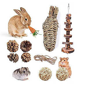 Fansisco Handmade Pet Chew Toys with Hay Grass Carrot Toys Apples Wood Molar String Carrot Toys Chew Toys for Rabbit Bunny Hamsters Chinchilla Guinea Pigs or Other Rodent Pets (30209), 30*20*9