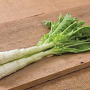 David's Garden Seeds Celtuce Spring Tower FBA-3272 (Green) 100 Non-GMO, Heirloom Seeds