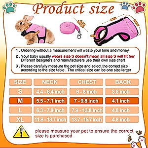 2 Pieces Bunny Rabbit Harness with Leash Cute Adjustable Buckle Breathable Mesh Vest for Kitten Puppy Small Pets Walking (Blue, Pink,M)
