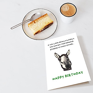 Chenive Funny Donkey Birthday for Him Her, Quirky Birthday Card for Friend Brother Sister, Humorous Birthday Greeting Card for Men Women, Two Donkeys Staring at Each Other