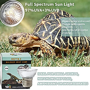 LUCKY HERP 4 Pack 50W UVA UVB Reptile Light Bulbs, Heat Lamp Bulbs for Reptiles and Amphibians, Basking Light Bulb for Turtle, Bearded Dragon, Lizard Heating Use