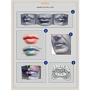 Anatomy For Sculptors, Understanding the Human Figure