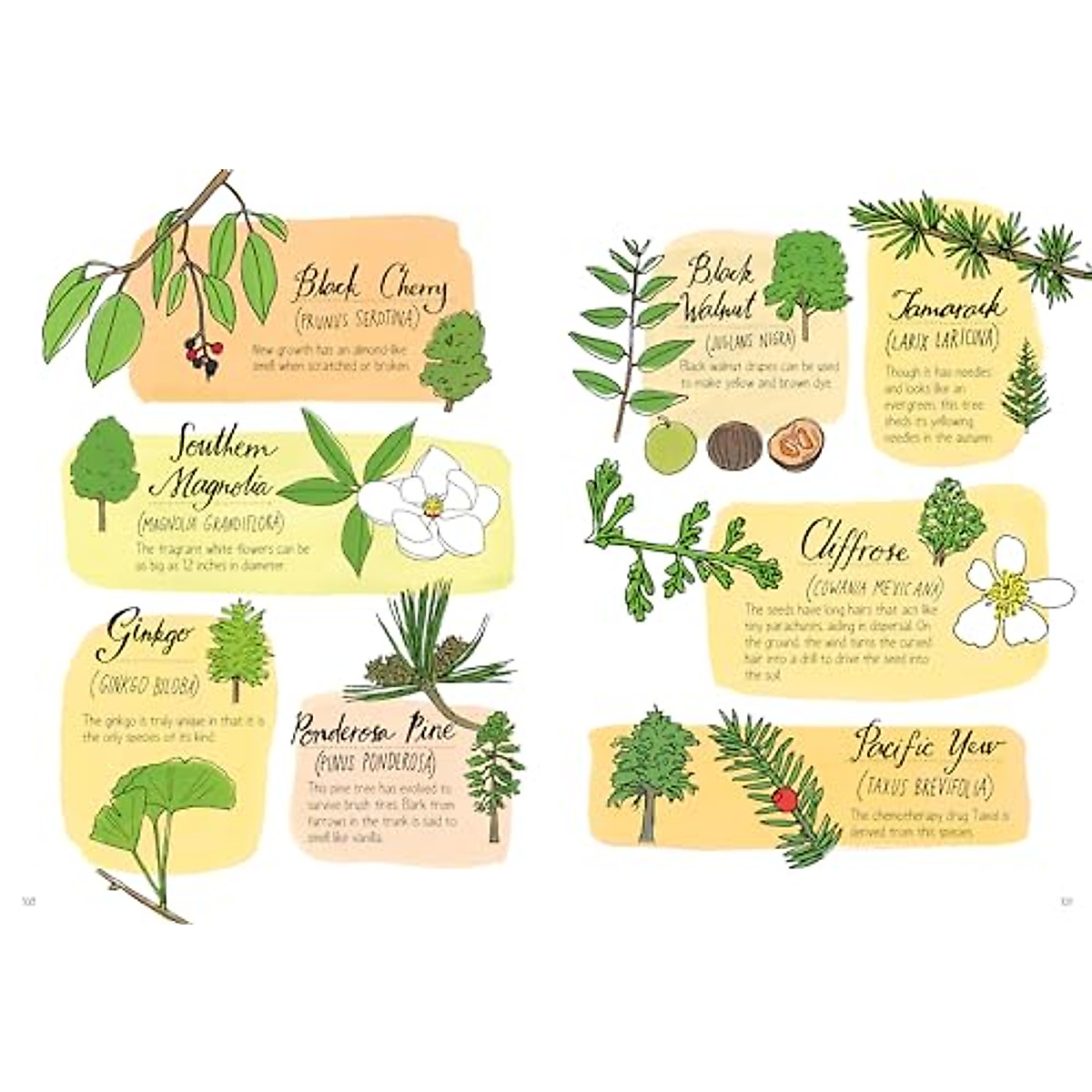 Nature Anatomy: The Curious Parts and Pieces of the Natural World